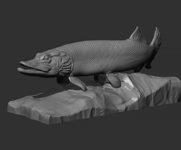 ArtStation - Pike fish on the base | Resources