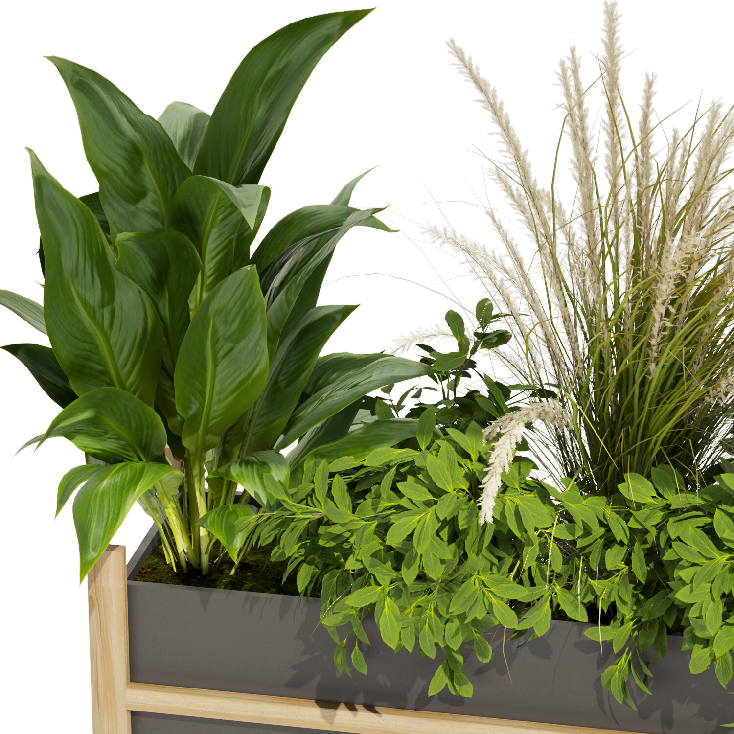 ArtStation - Collection plant vol 420 - indoor - monstera - banana ...