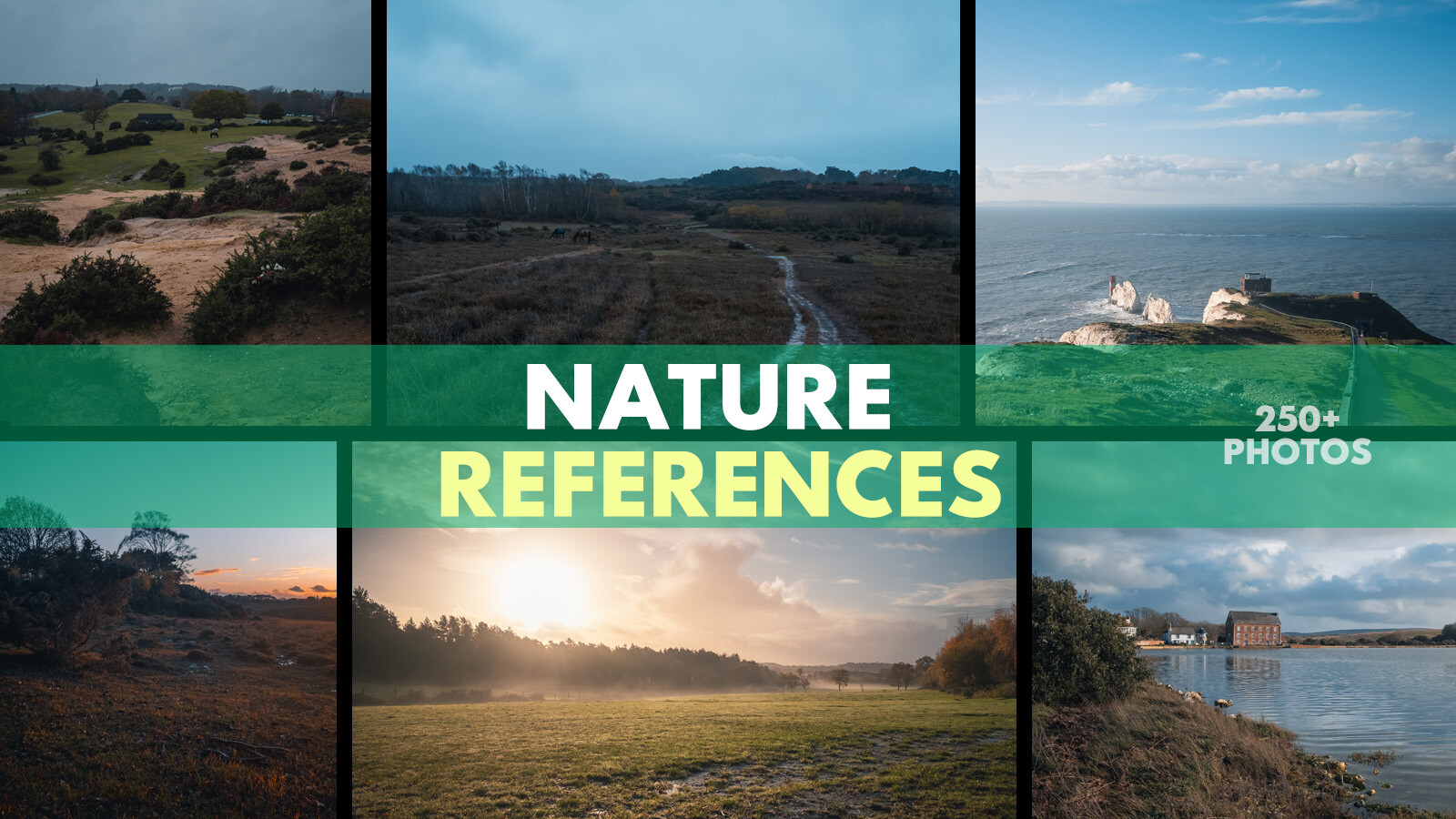 ArtStation - Nature References | Resources