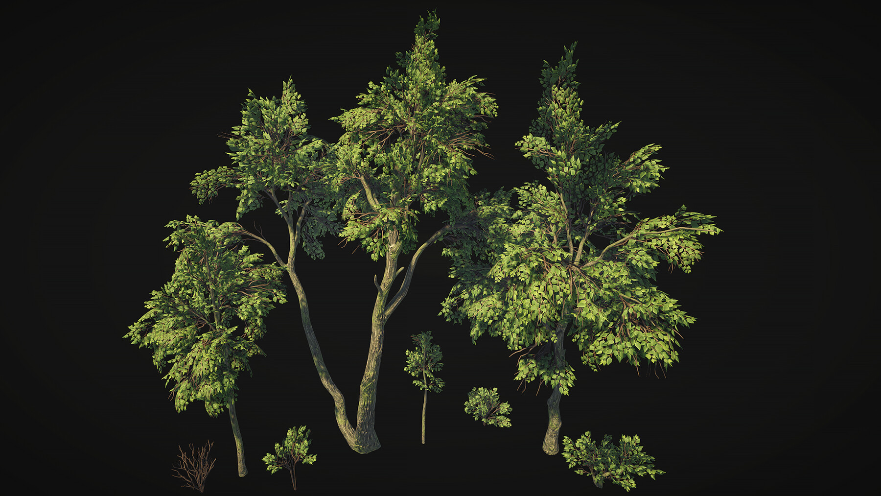 ArtStation - Stylized Birch Trees | Game Assets
