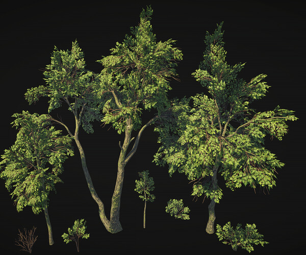 ArtStation - Stylized Birch Trees | Game Assets