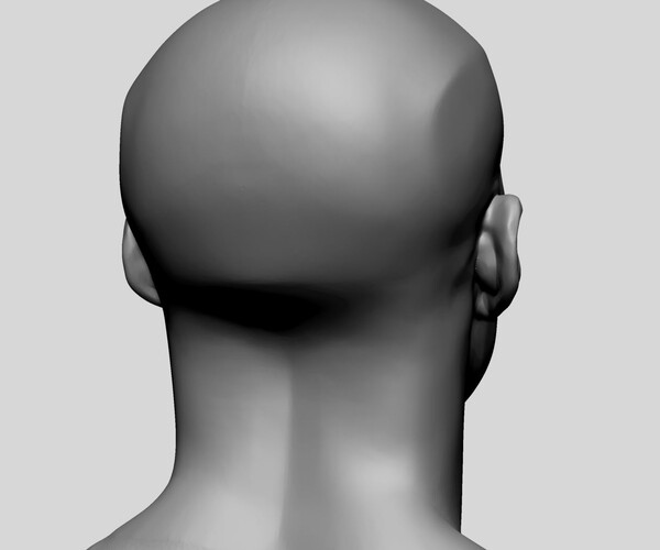 ArtStation - Male Head Planes and Different Shapes | Resources