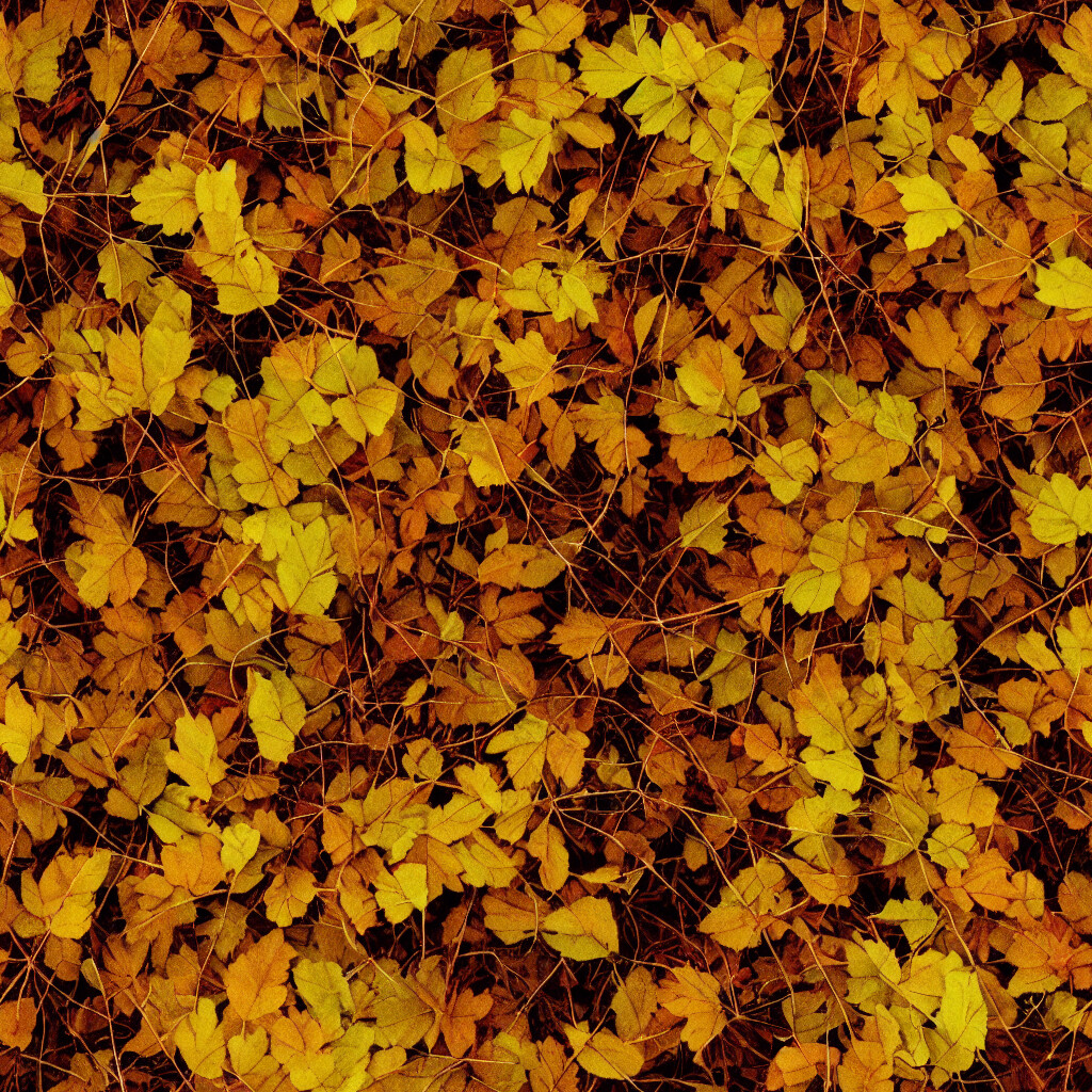 ArtStation - [115] Realistic Seamless Textures | Game Assets