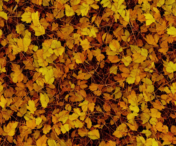 ArtStation - [115] Realistic Seamless Textures | Game Assets