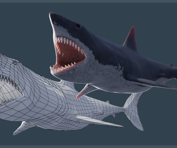 ArtStation - Great White Shark | Game Assets