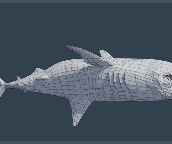 ArtStation - Great White Shark | Game Assets