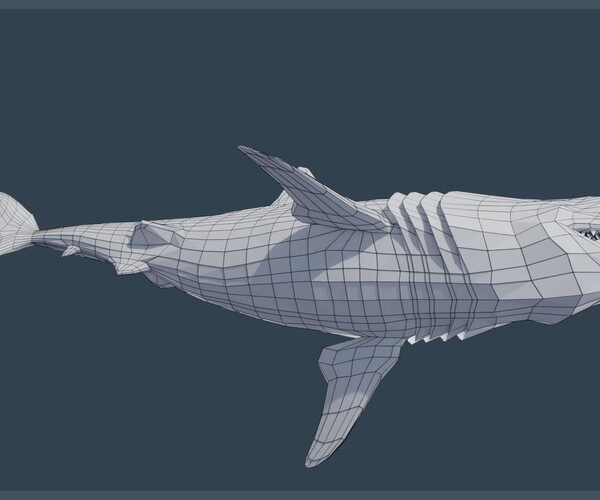 ArtStation - Great White Shark | Game Assets