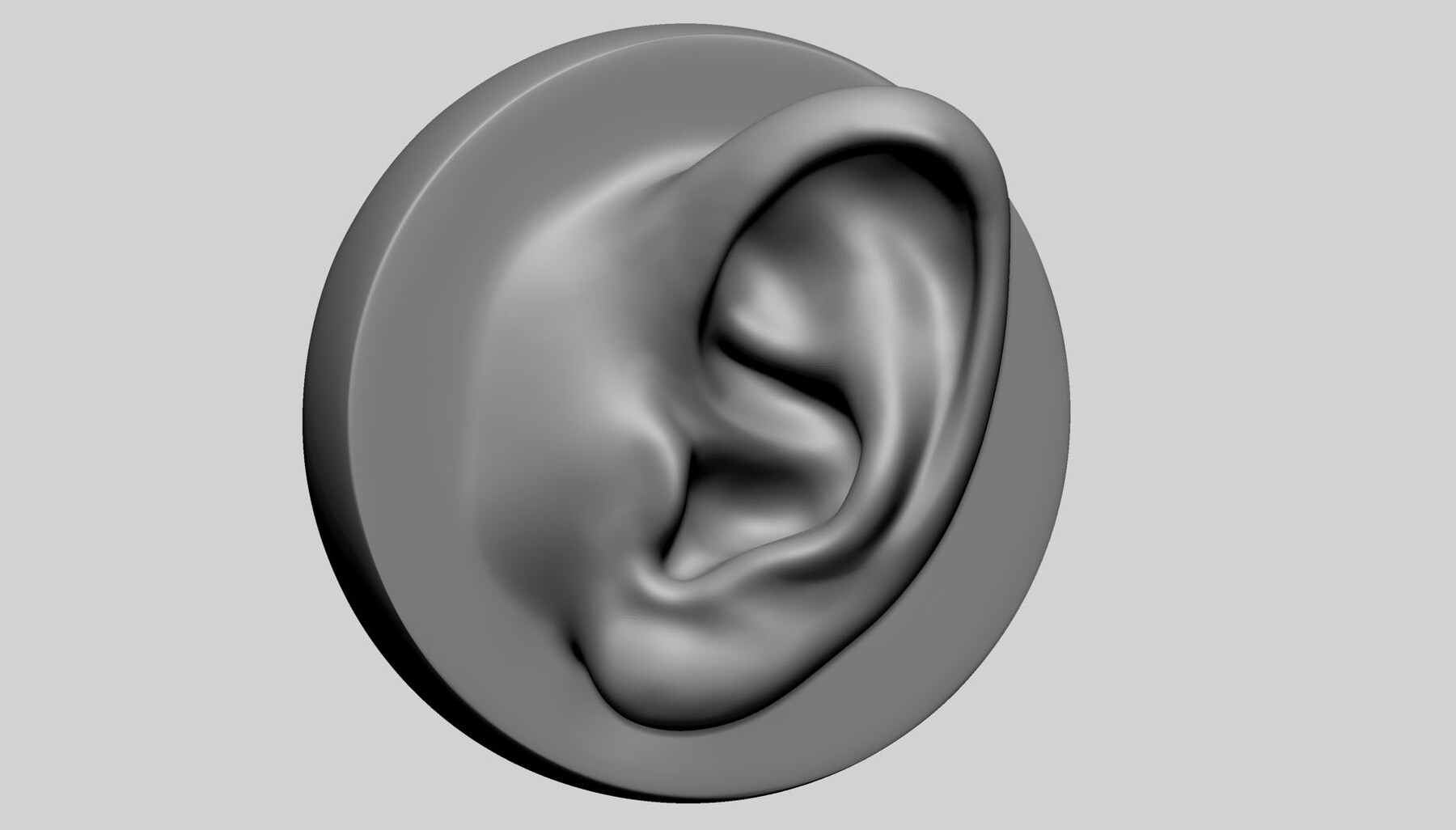 ArtStation - Ear Model with Different Types | Resources