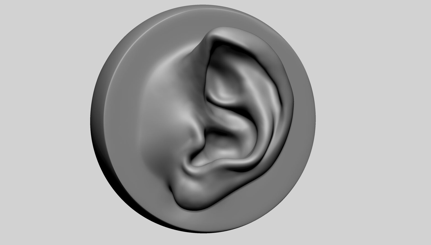ArtStation - Ear Model with Different Types | Resources