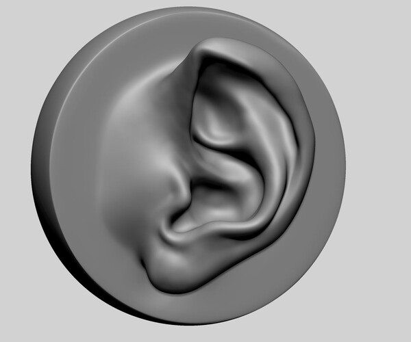ArtStation - Ear Model with Different Types | Resources