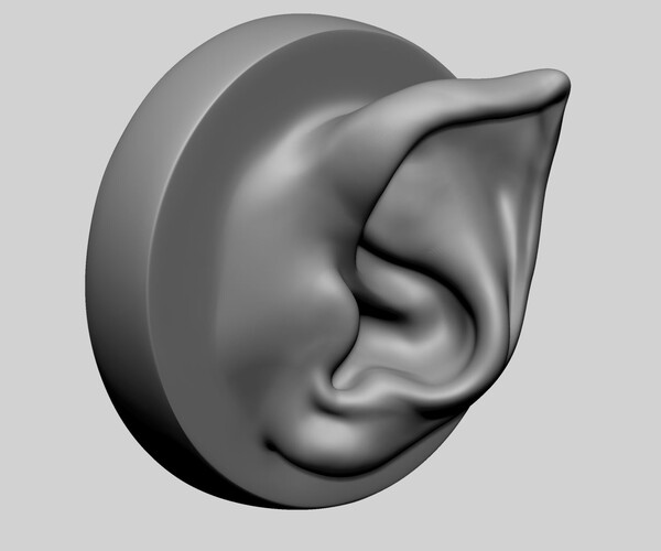 ArtStation - Ear Model with Different Types | Resources