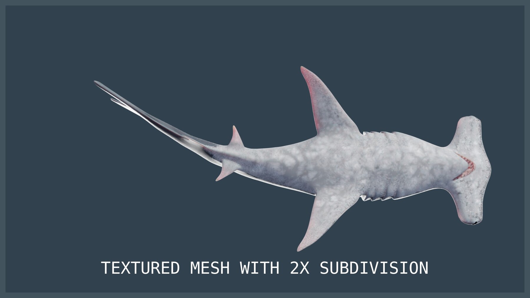ArtStation - Animated Hammerhead Shark | Game Assets