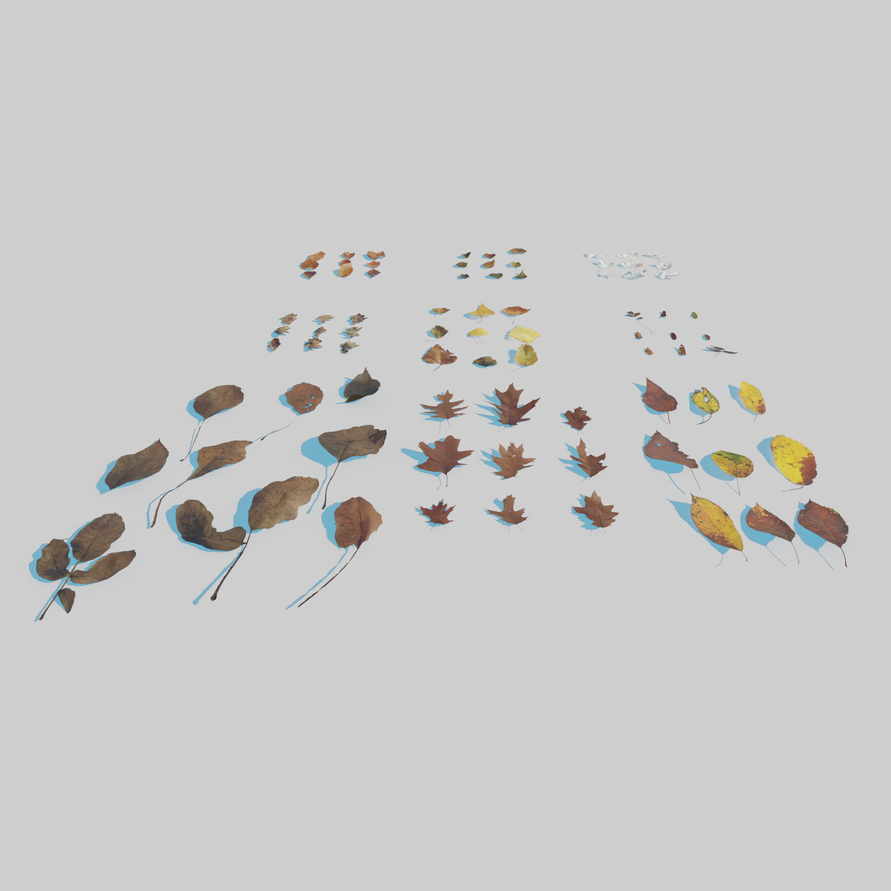 ArtStation - Dry Leaves Pack | Resources