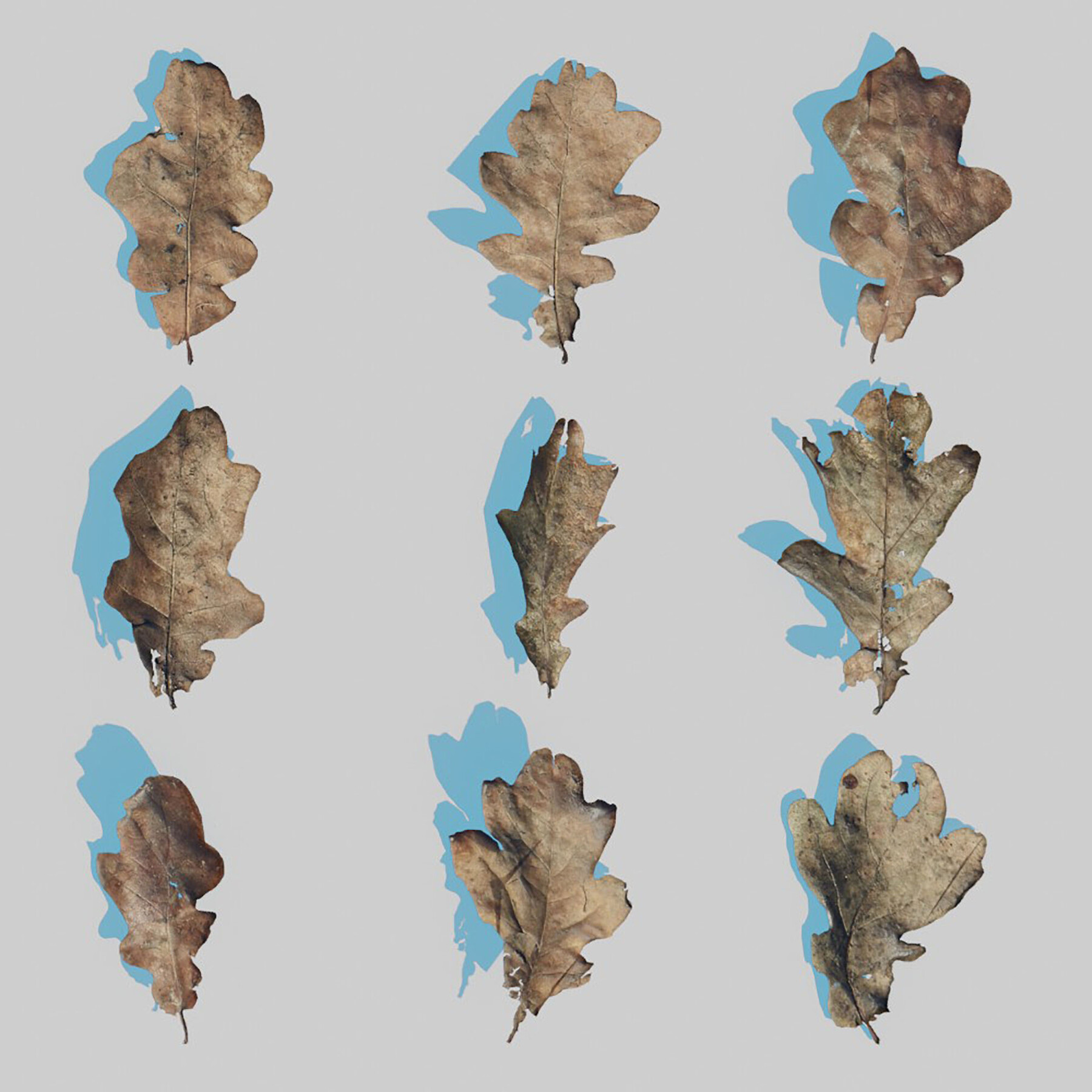 ArtStation - Dry Leaves Pack | Resources