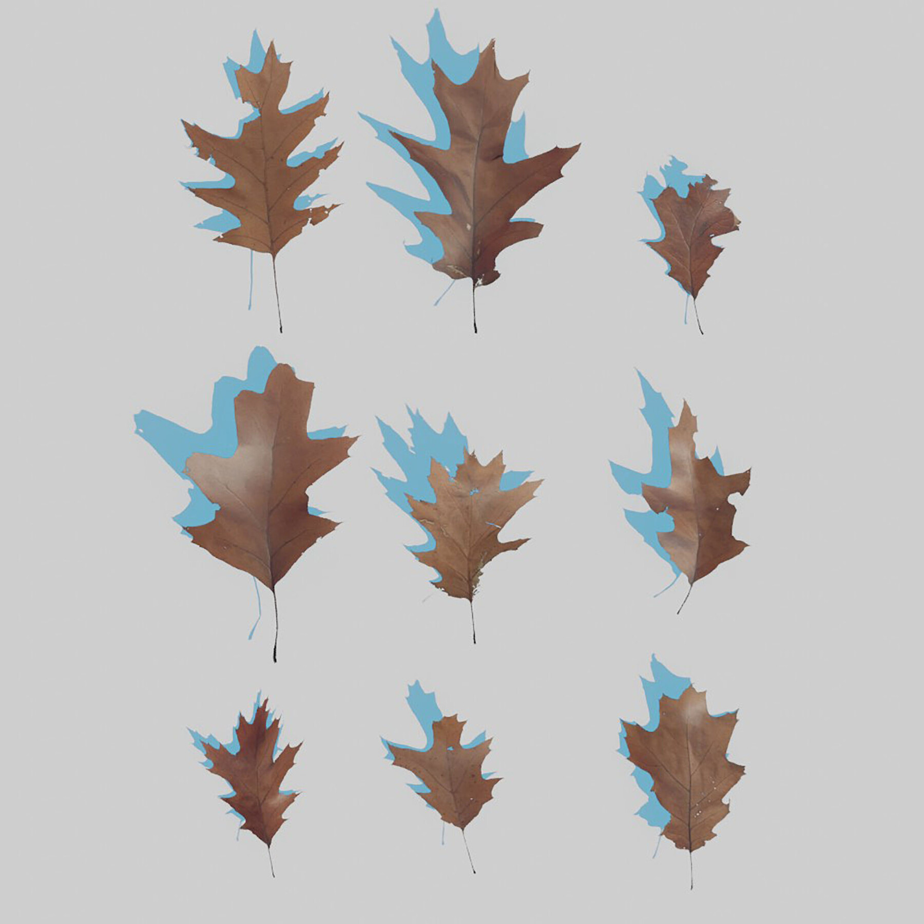 ArtStation - Dry Leaves Pack | Resources