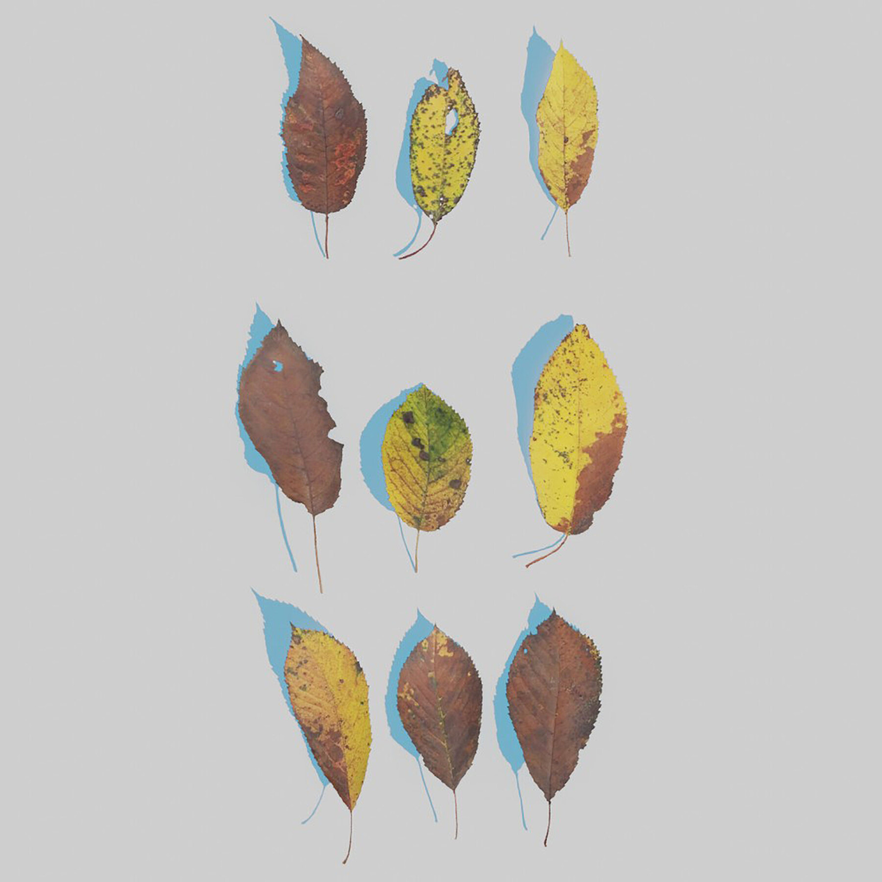 ArtStation - Dry Leaves Pack | Resources