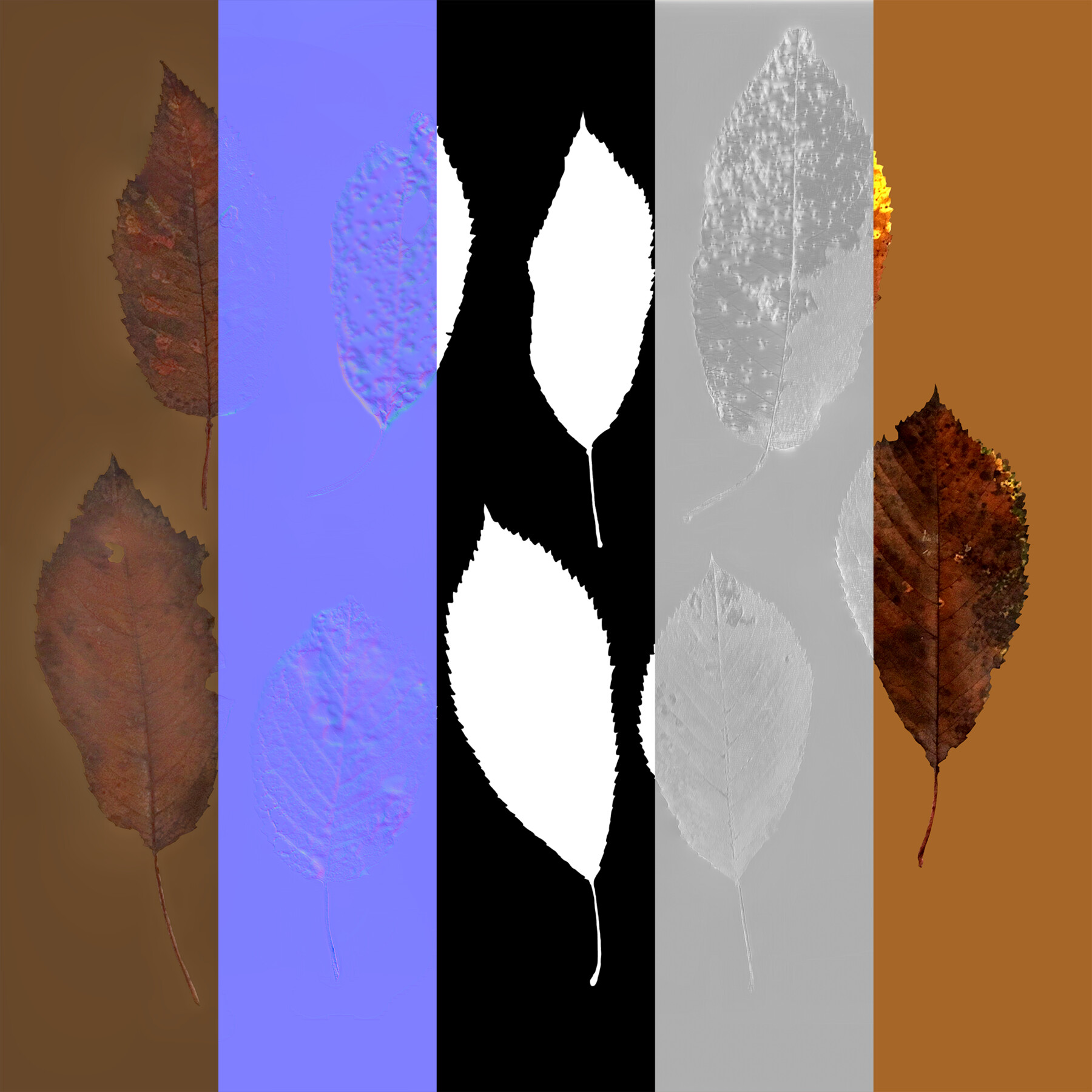 ArtStation - Dry Leaves Pack | Resources