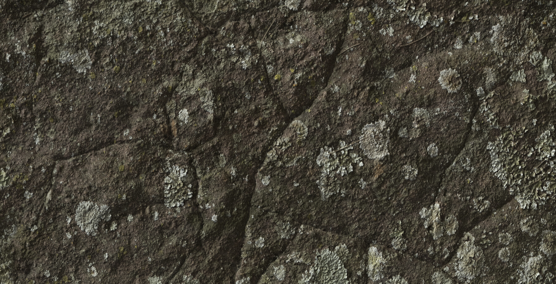 ArtStation - Lichened Rock | Resources