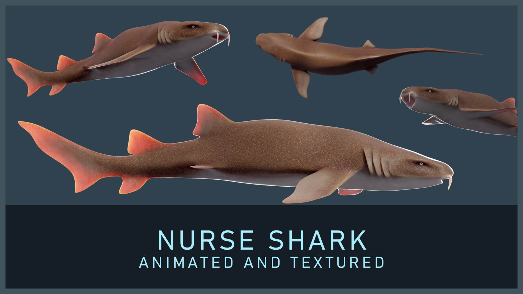 ArtStation - Animated Nurse Shark | Game Assets