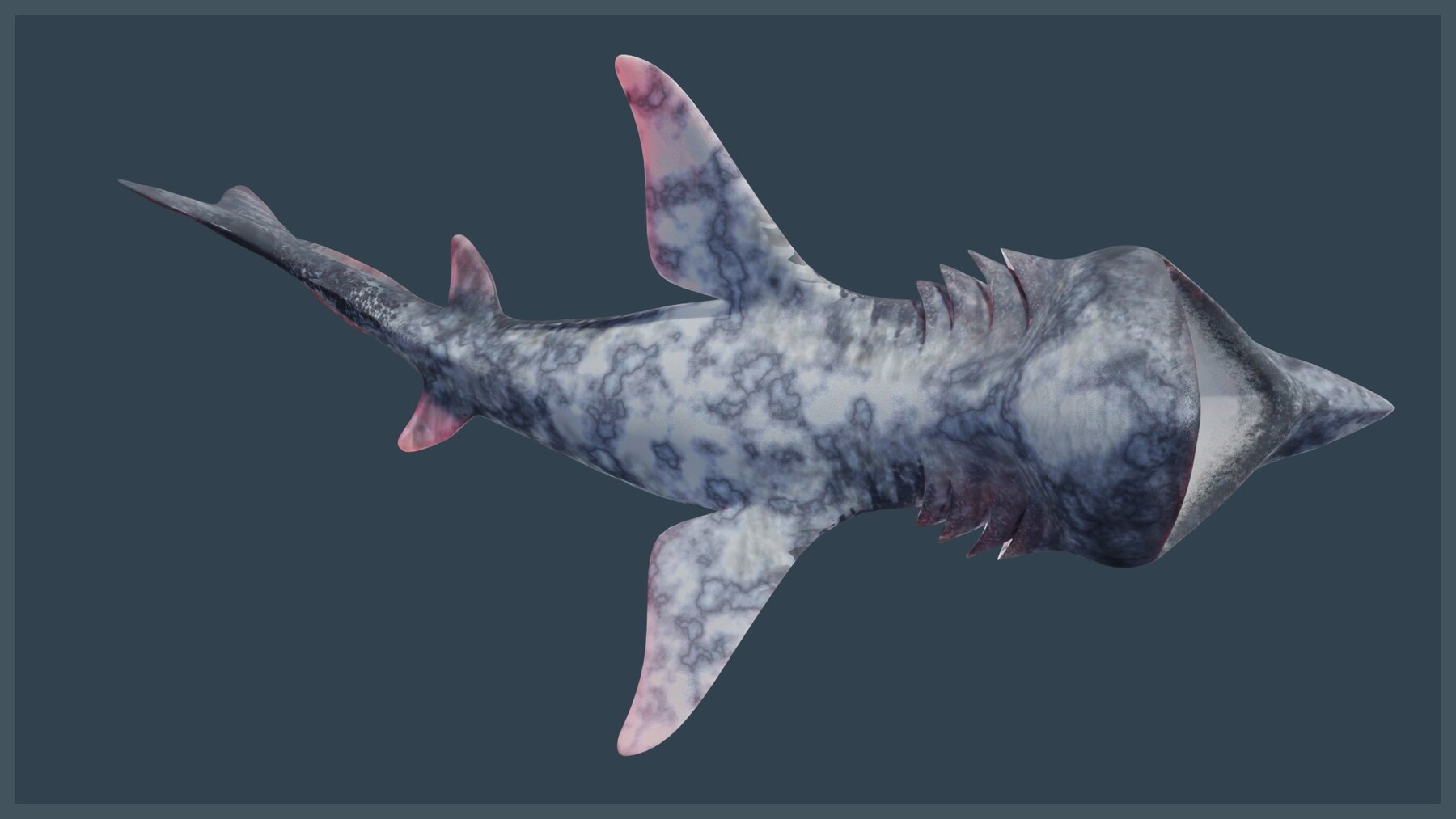 ArtStation - Animated Basking Shark | Game Assets