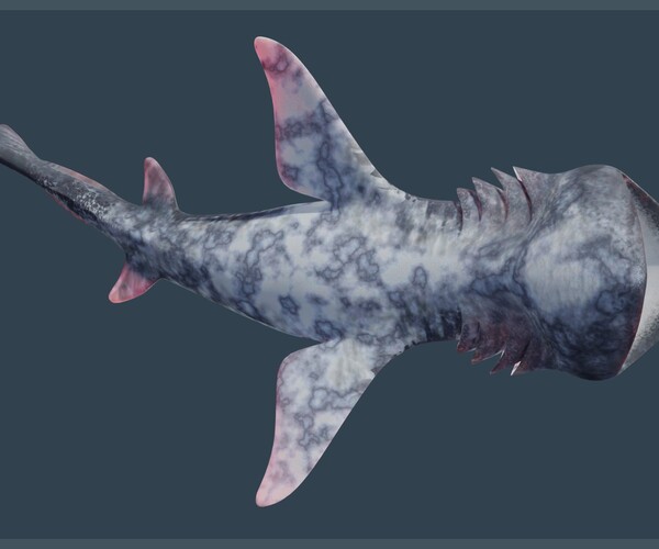 ArtStation - Animated Basking Shark | Game Assets