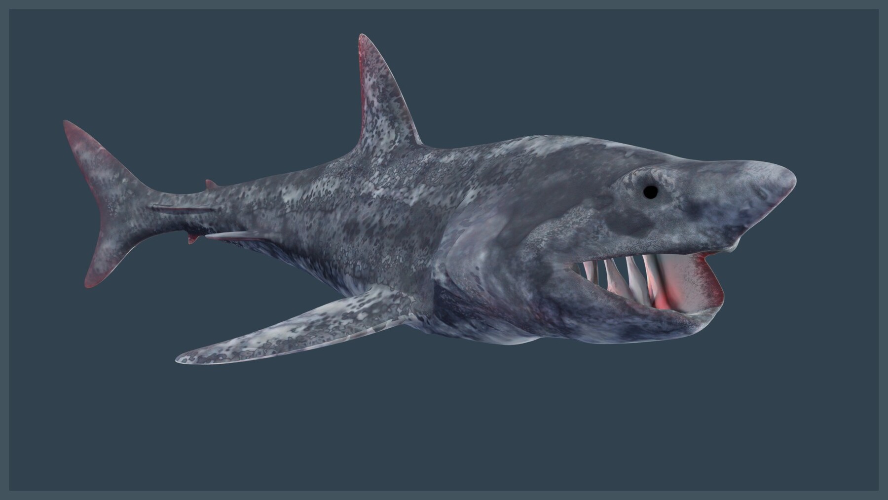ArtStation - Animated Basking Shark | Game Assets