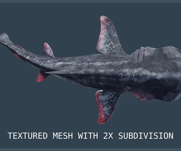 ArtStation - Animated Basking Shark | Game Assets
