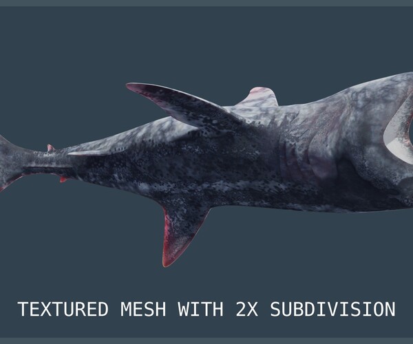 ArtStation - Animated Basking Shark | Game Assets