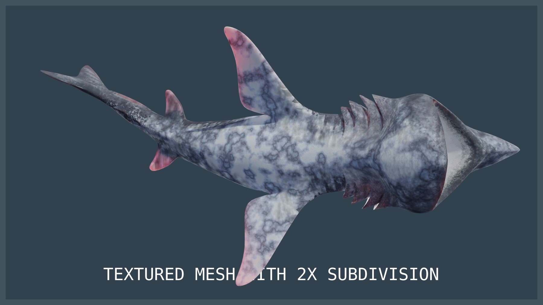 ArtStation - Animated Basking Shark | Game Assets