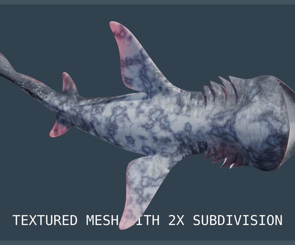 ArtStation - Animated Basking Shark | Game Assets