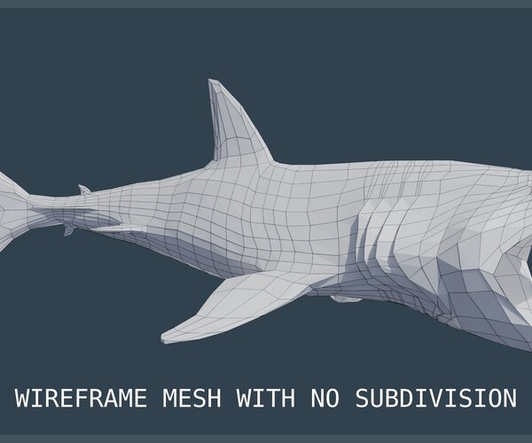 ArtStation - Animated Basking Shark | Game Assets