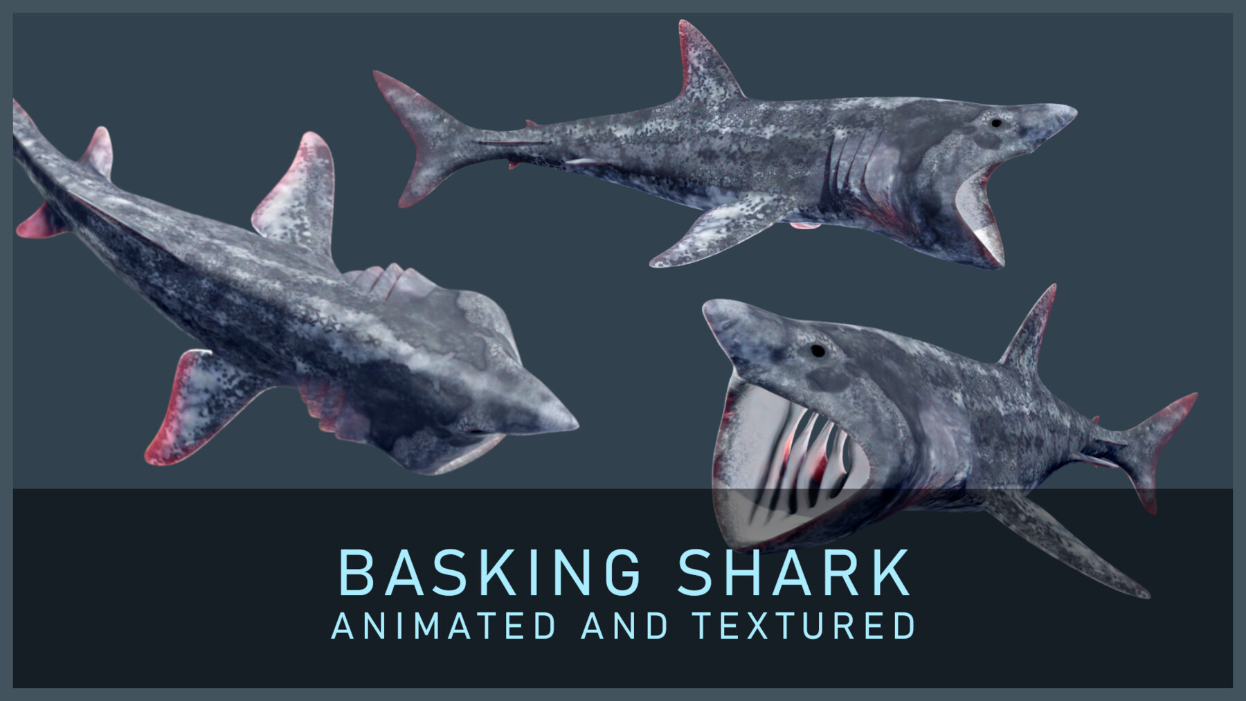 ArtStation - Animated Basking Shark | Game Assets