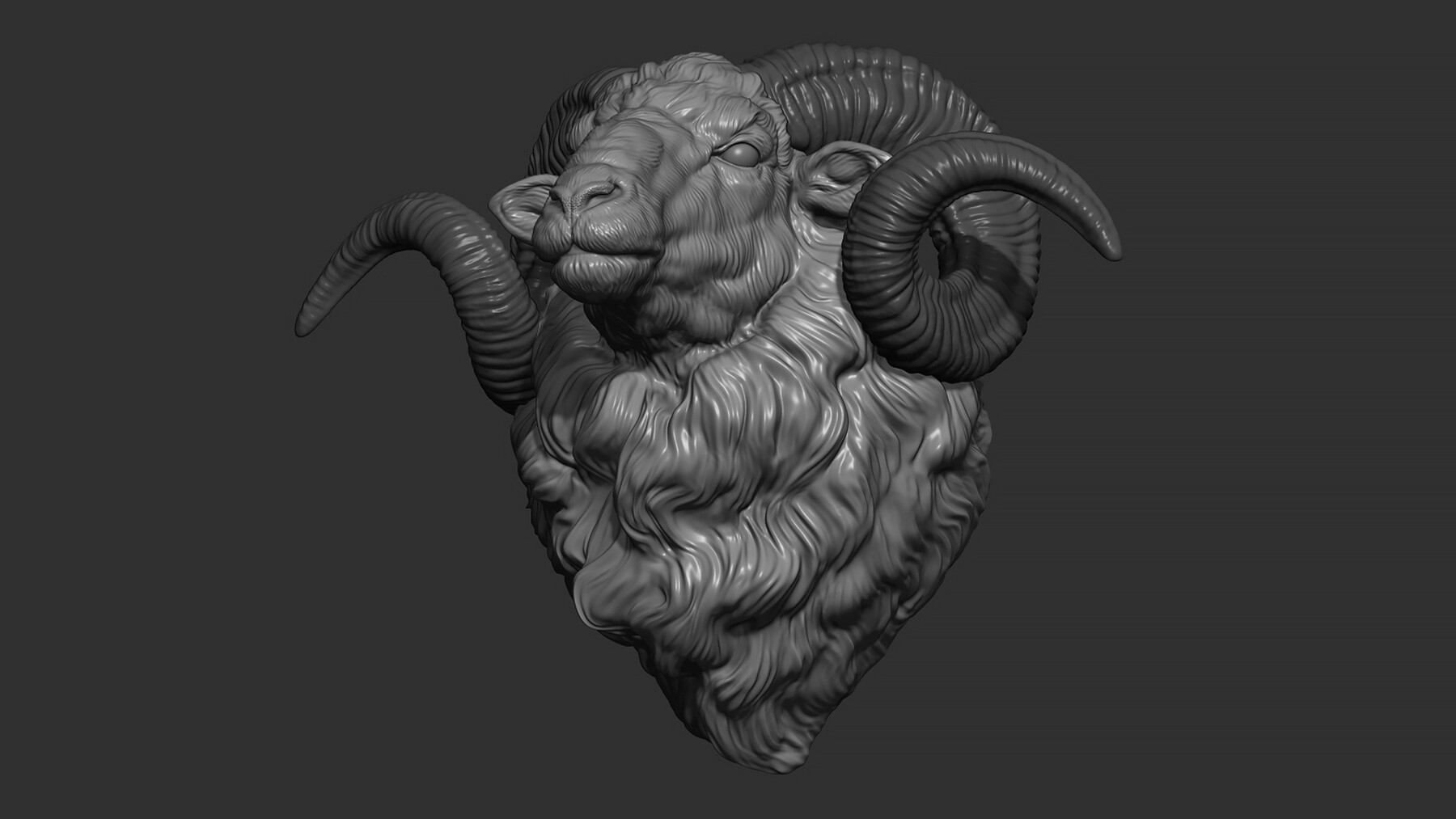 ArtStation - Ram sheep head | Resources