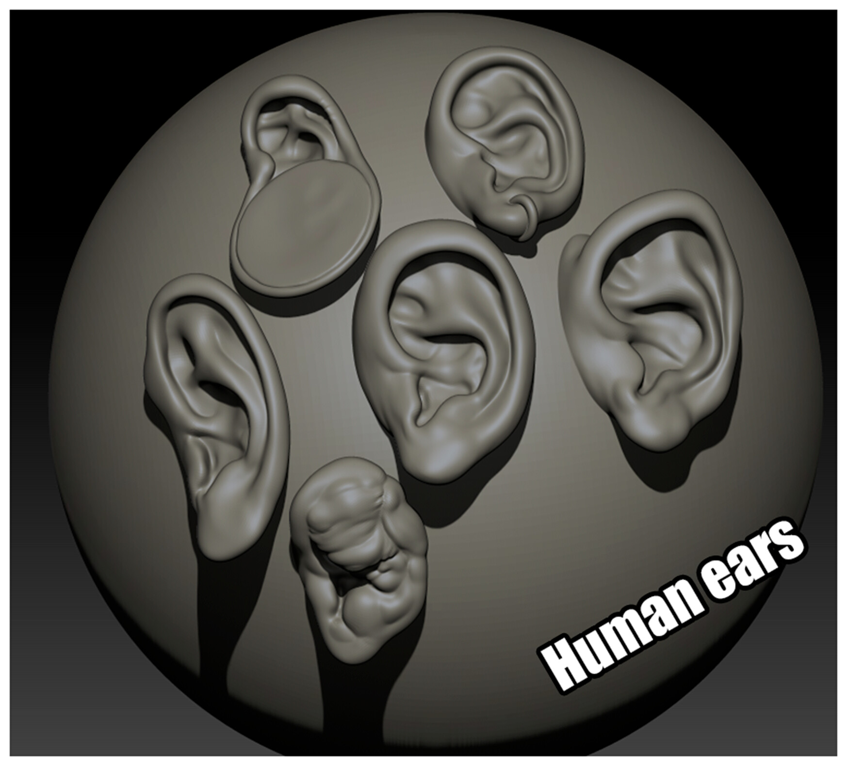 ArtStation - Human and elf ears set | Brushes