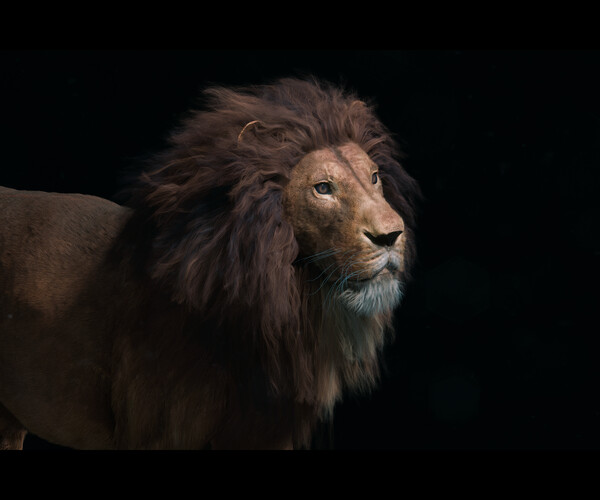 ArtStation - Lion Blender 4K model with fur model | Game Assets