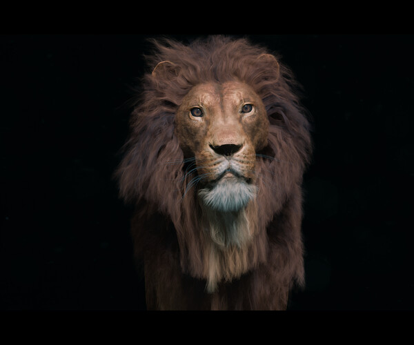 ArtStation - Lion Blender 4K model with fur model | Game Assets