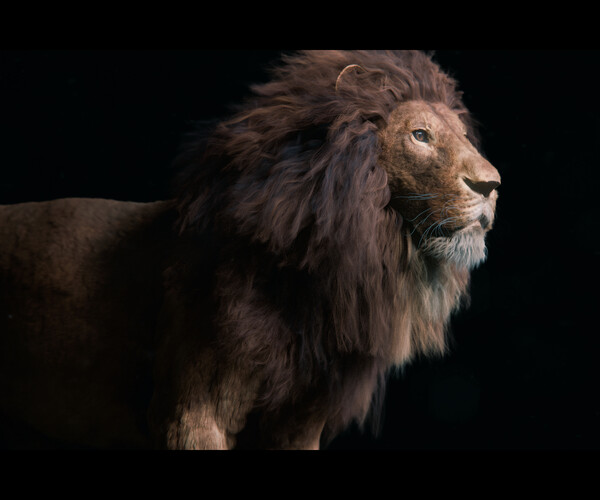 ArtStation - Lion Blender 4K model with fur model | Game Assets