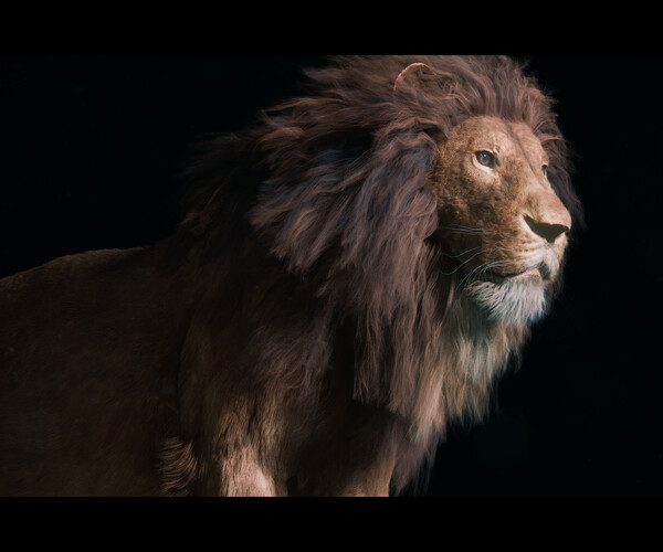 ArtStation - Lion Blender 4K model with fur model | Game Assets