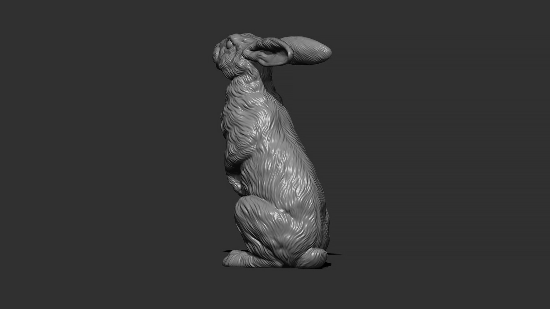 ArtStation - Hare sitting | Resources