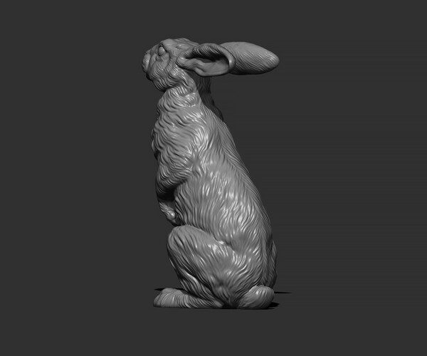 ArtStation - Hare sitting | Resources