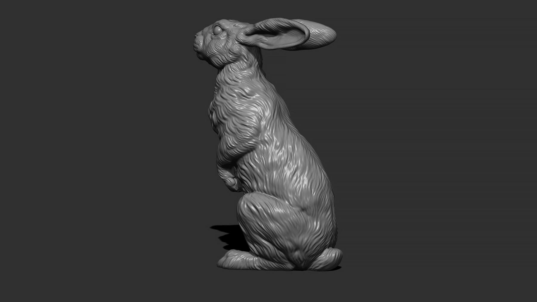 ArtStation - Hare sitting | Resources