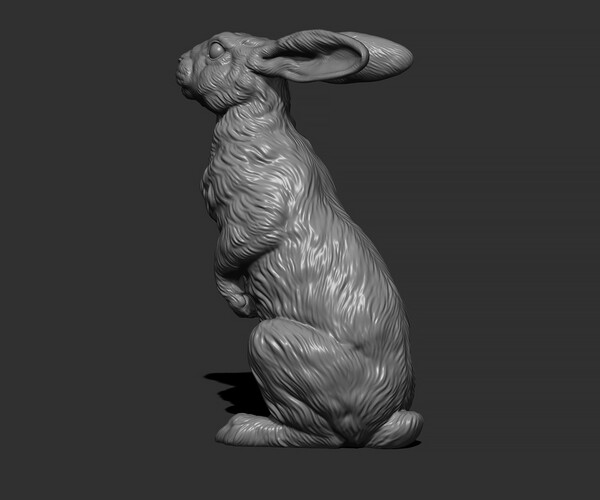 ArtStation - Hare sitting | Resources