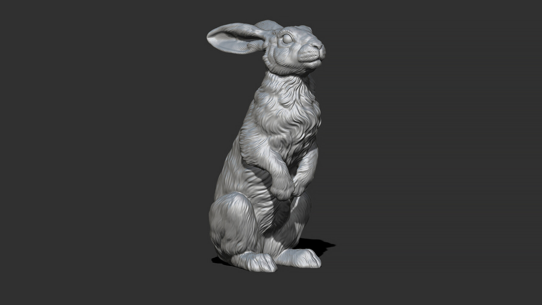ArtStation - Hare sitting | Resources
