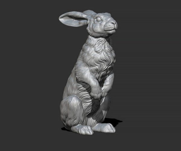 ArtStation - Hare sitting | Resources