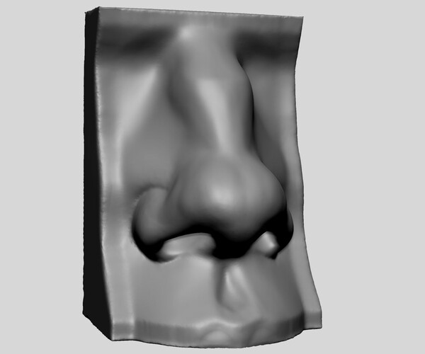 ArtStation - Nose Model with Different Types | Resources