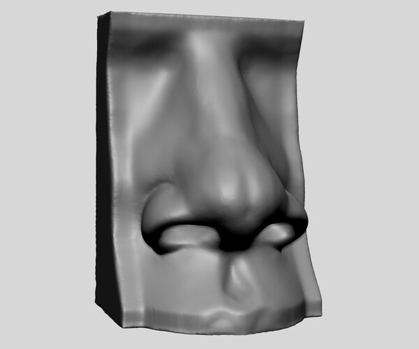 ArtStation - Nose Model with Different Types | Resources