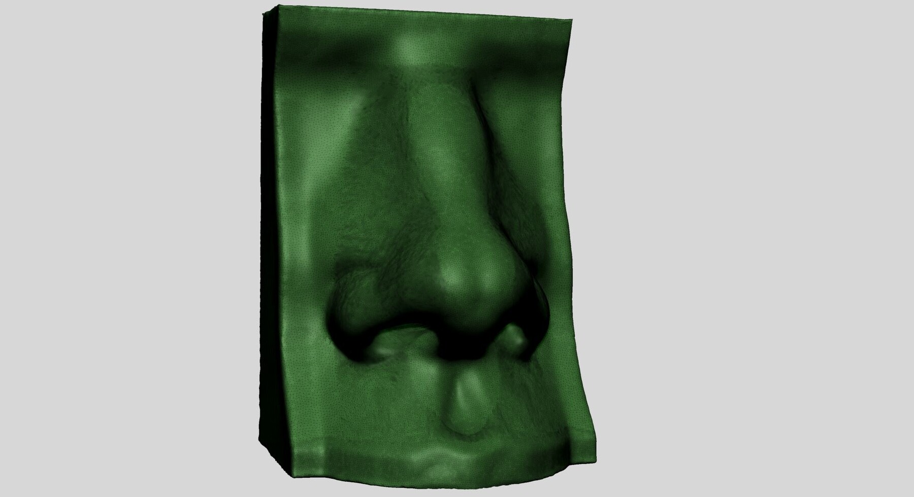 ArtStation - Nose Model with Different Types | Resources