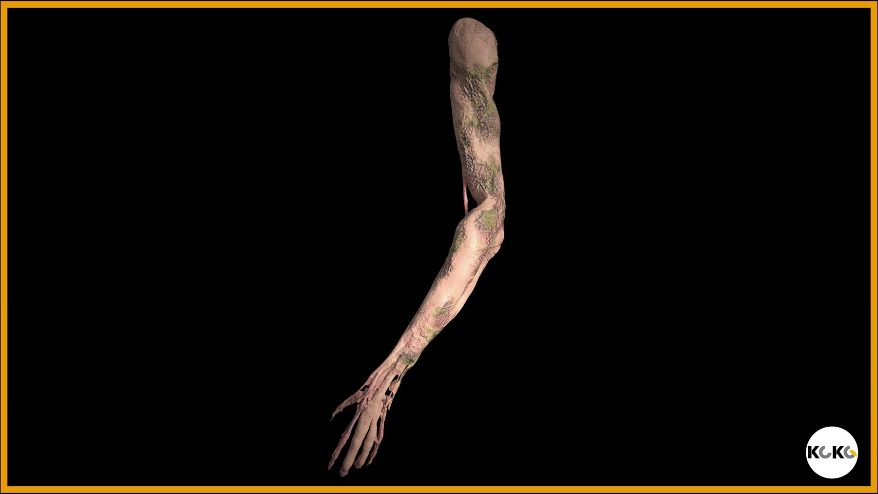 ArtStation - 20 Creature Arms | Game Assets