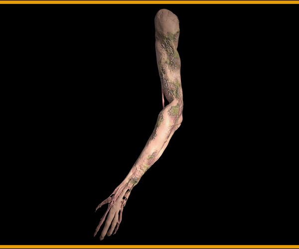 ArtStation - 20 Creature Arms | Game Assets