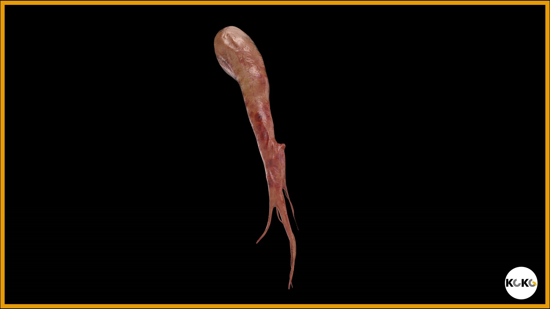 ArtStation - 20 Creature Arms | Game Assets